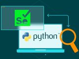 Selenium Python Rest Api Training Locus It Academy India