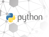 Python Foundation Lund Bendsen