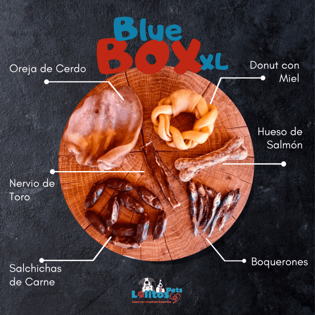 Blue BOX XL Snacks para grandes mordedores - LolitosPets®
