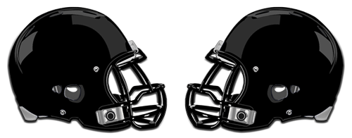 2013 LSG Team Preview — Texas City Stingarees - Lone Star Gridiron