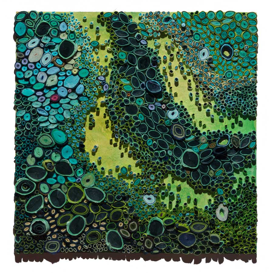 Amy Genser - Long View Gallery, D.C.