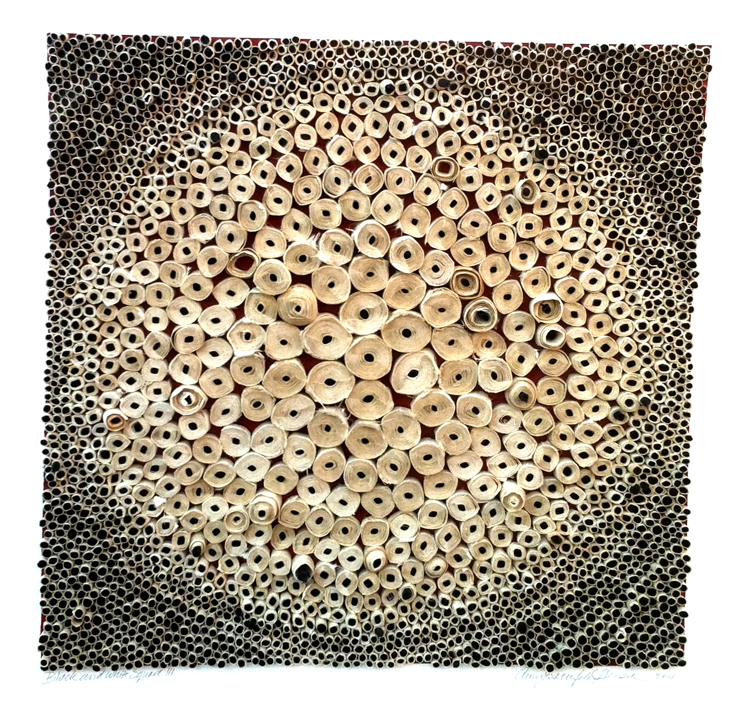 Amy Genser - Long View Gallery, D.C.