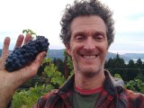 Our Vineyard Loop De Loop