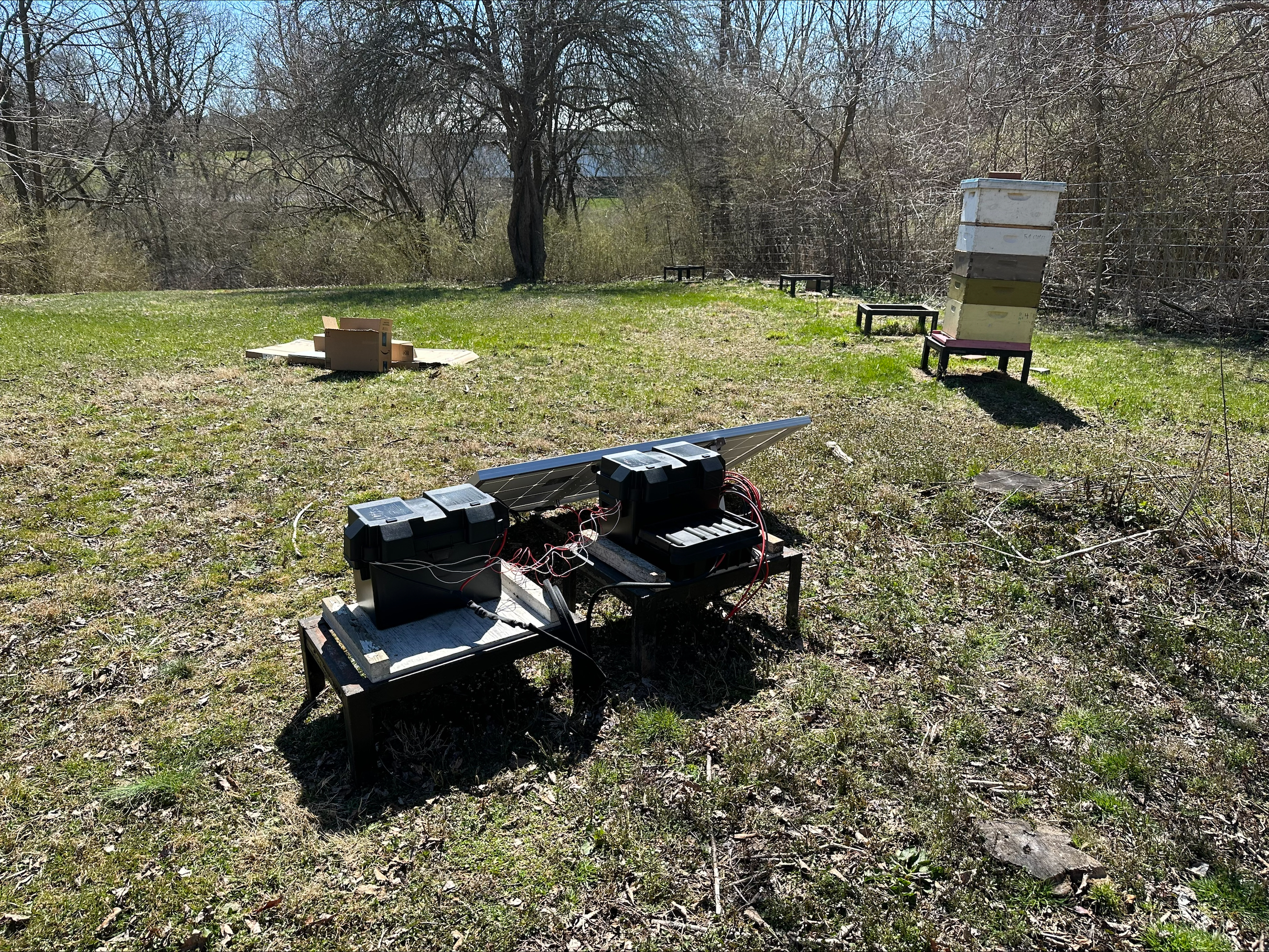 Organic Beekeeping – López-Uribe Lab