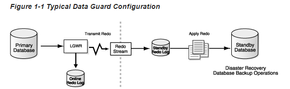 Rolling Forward An Oracle Standby Database In A Dataguard Configuration