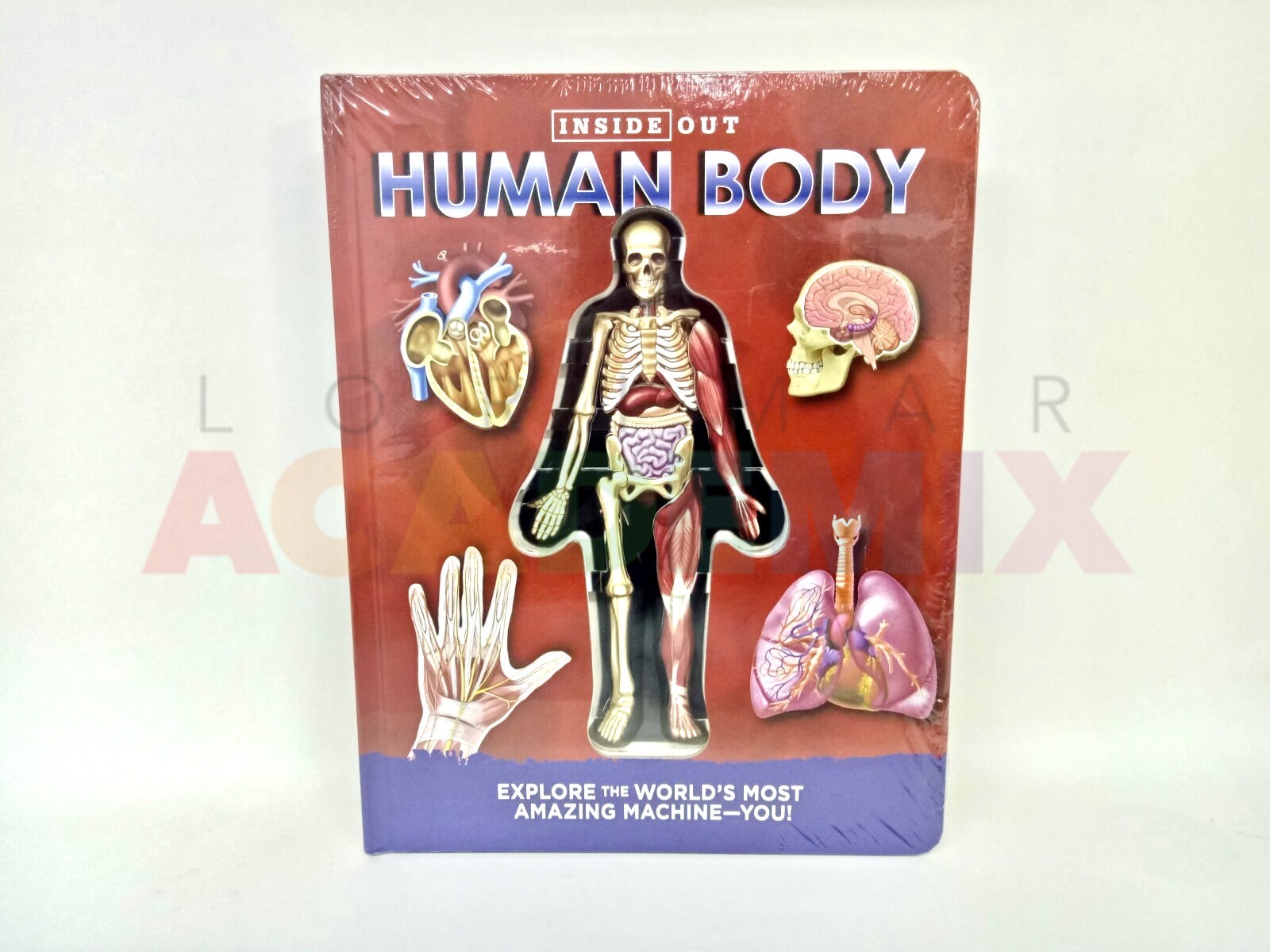Inside Out Human Body - Lorimar Academix