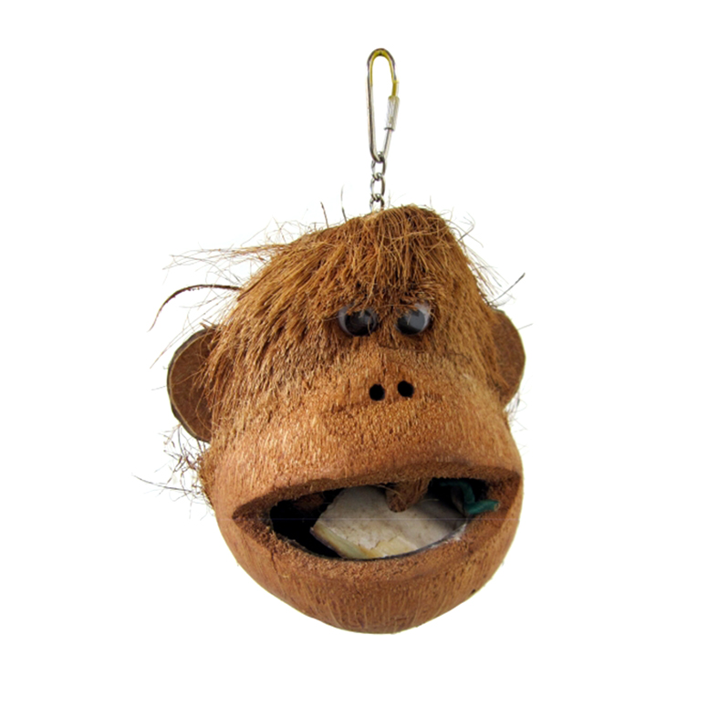 Coco Monkey - loropets