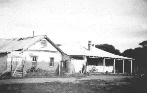 HARRIS CHAPPIE ELAINE Lost Nyabing Dualling Yealing