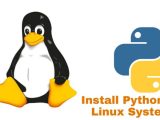 Linux Install Python Pleshoppe