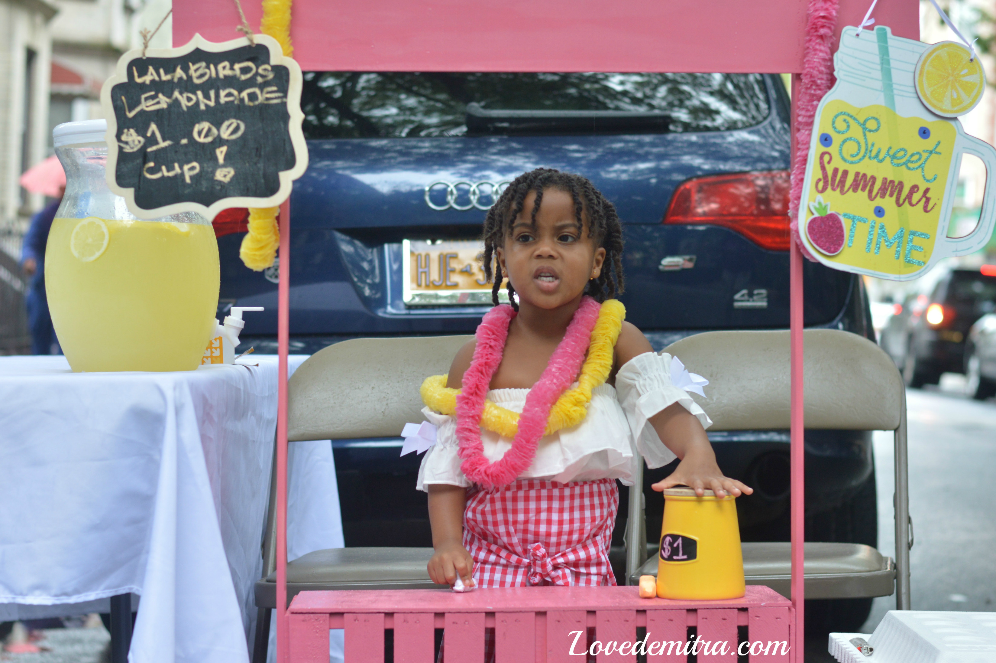 LaLa Bird's Lemonade Stand - Love Demitra