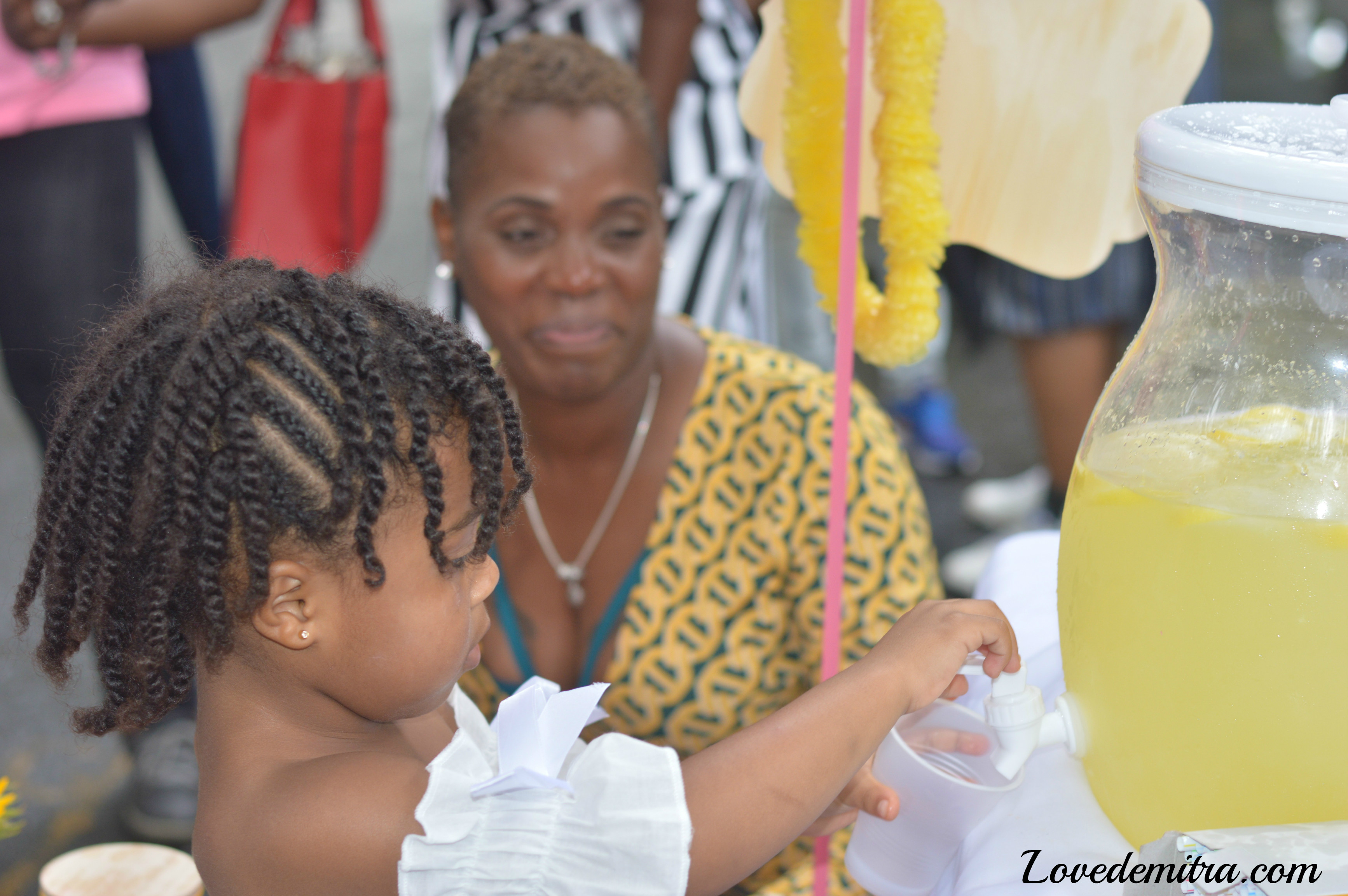 LaLa Bird's Lemonade Stand - Love Demitra