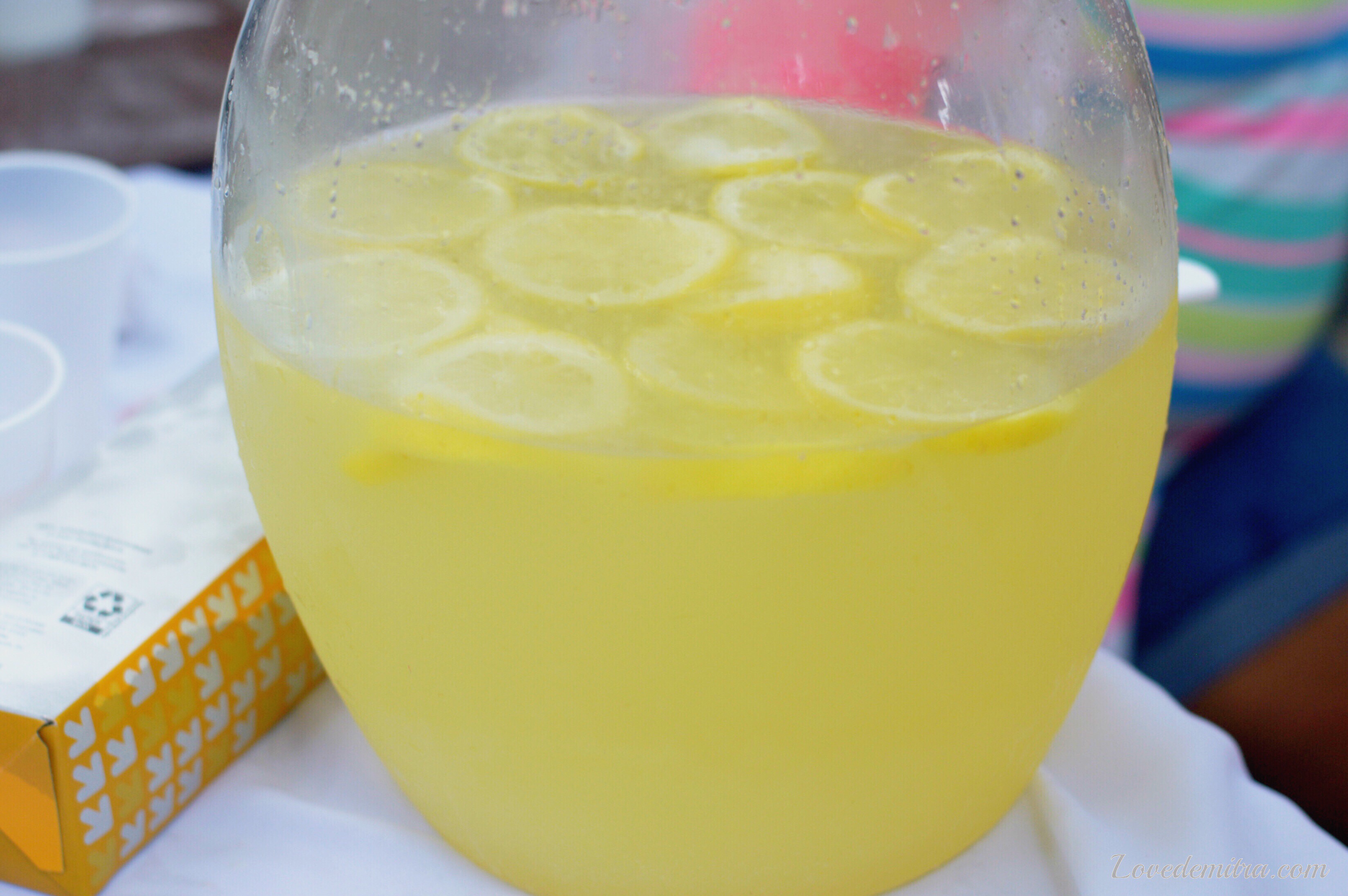 LaLa Bird's Lemonade Stand - Love Demitra