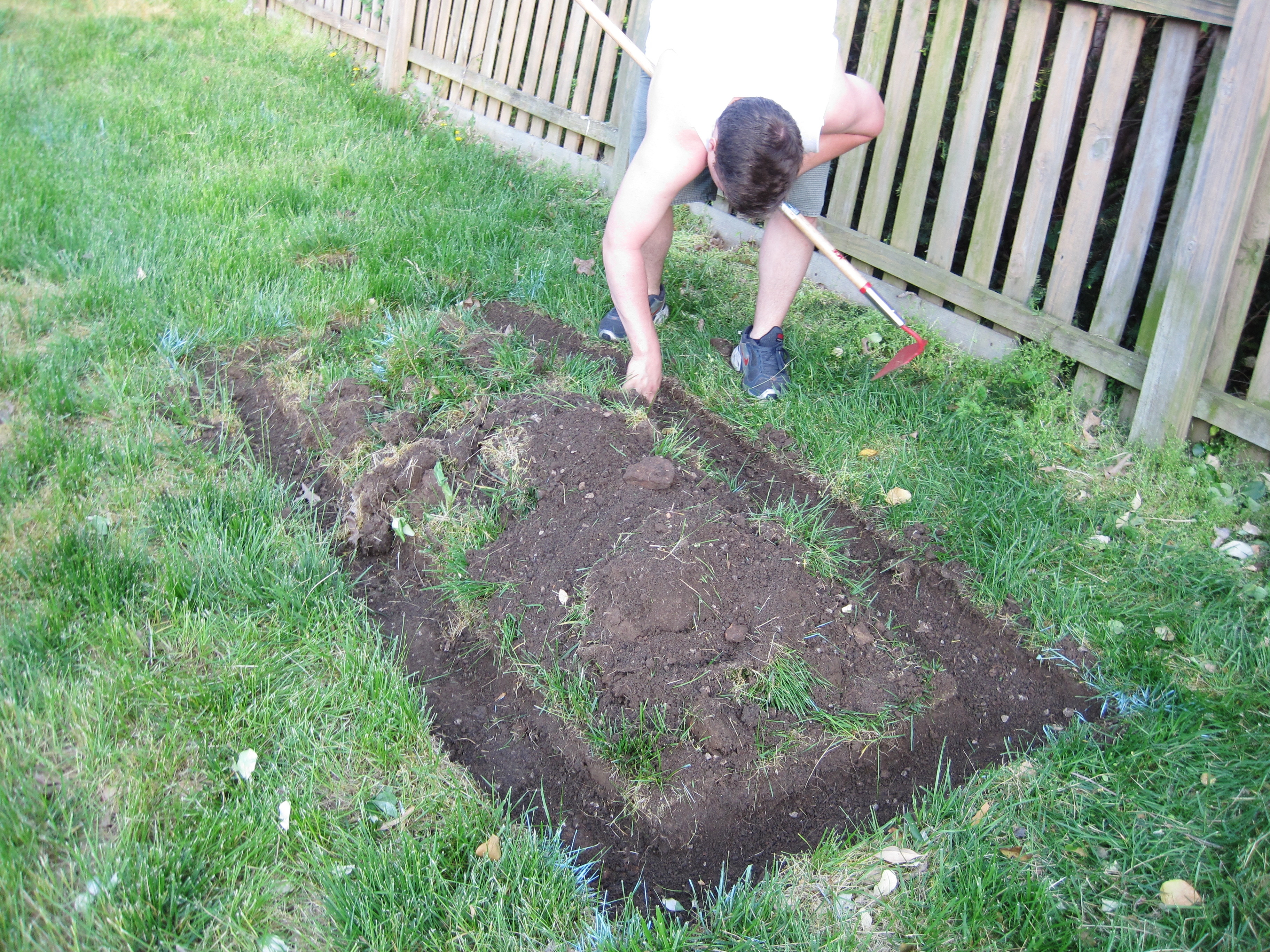 Plan for Your Garden’s Design Pt. 2 | Plant. Grow. Innovate. Appreciate.