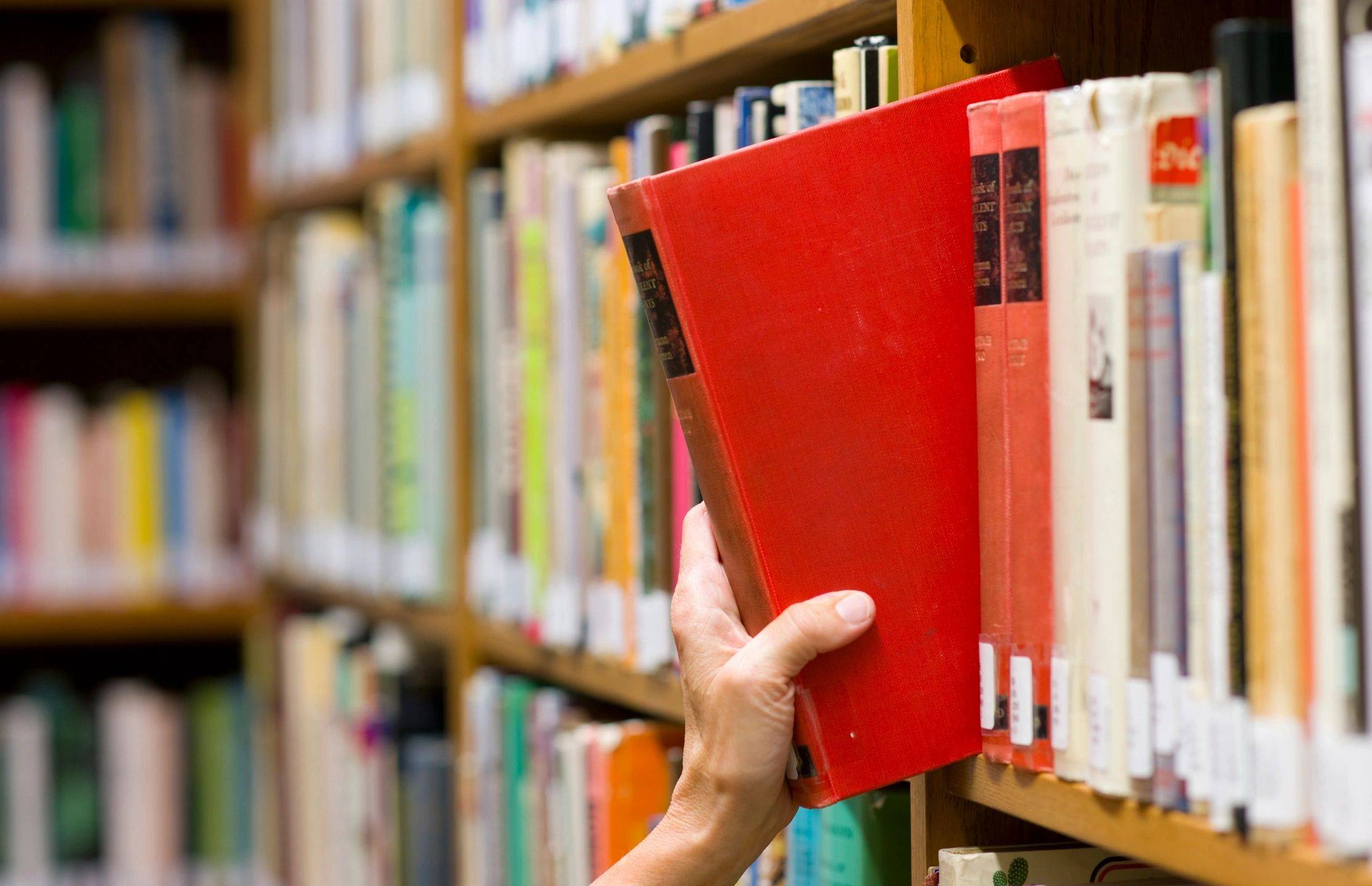 Making library access a reality for the visually impaired - AdaptiVision