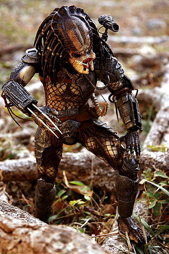 Outdoor Hot Toys’ Predator & Arnold Schwarzenegger in the House! Relive ...