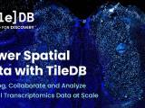 Spatial Transcriptomics Development Preview Tiledb