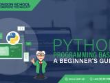 Python Programming Basics A Beginner S Guide London School Of