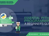 A Beginner S Guide Python Programming Programming Lset