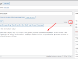 How To Add Iframe Code To Wordpress Ltheme