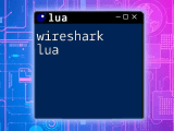 Obfuscator Lua Mastering Code Concealment In Lua