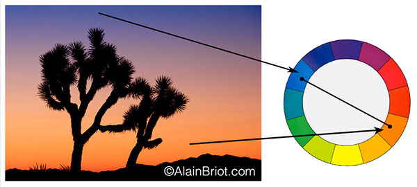 colour accent | Chantelle Grace Photography