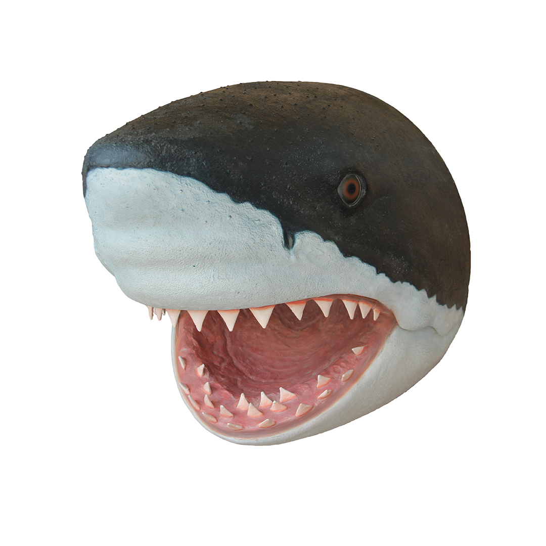 Shark Head (Wall Mounted) | Luxury Statues