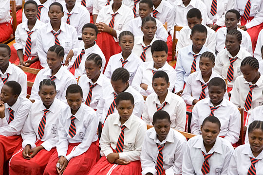 Machines & Animals - Jake Lyell