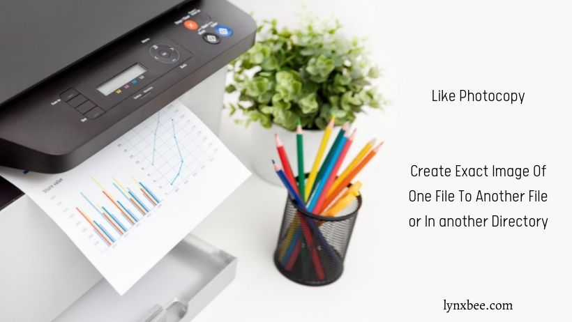 Use Which To Check Full Path Of Linux Commands Lynxbee Linux Embedded Android Wordpress 6906