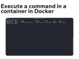 Execute A Command In A Container In Docker Developer Lesson