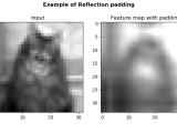 Using Constant Padding Reflection Padding And Replication Padding With