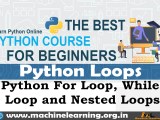 Python Loops