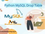 Python Mysql Drop Table