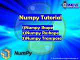 Tutorial Numpy Shape Numpy Reshape And Numpy Transpose In Python