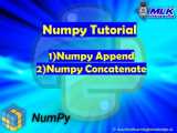 Tutorial Numpy Append And Numpy Concatenate In Python Mlk