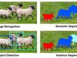 Instance Segmentation Using Mask Rcnn In Opencv Python Mlk Machine