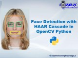 Face Detection With Opencv Python Infoupdate Org