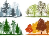 Random Forest Classifier In Python Sklearn With Example Mlk Machine