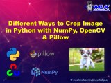 4 Ways To Crop Image In Python Using Numpy Pillow And Opencv Mlk