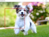 4 Ways To Crop Image In Python Using Numpy Pillow And Opencv Mlk
