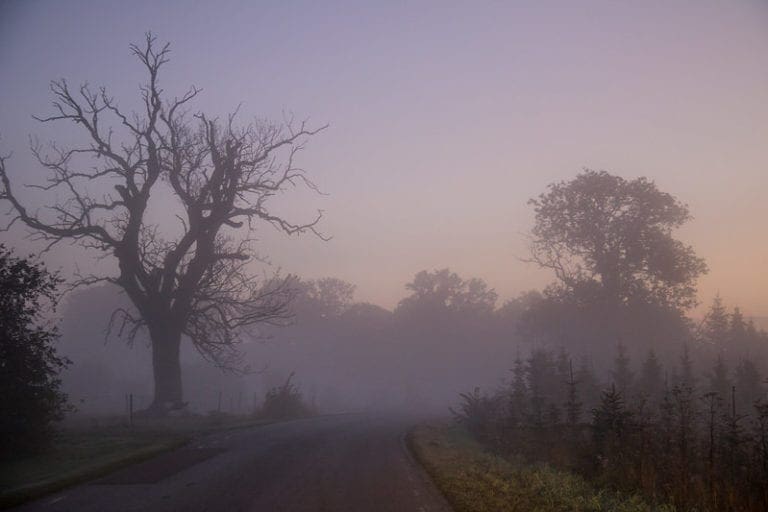 Dual Annealing Optimization With Python Machinelearningmastery Com - Premium Nature Background Gallery - Ultra HD