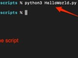How To Run A Python Script In Terminal Mac Ferxpert