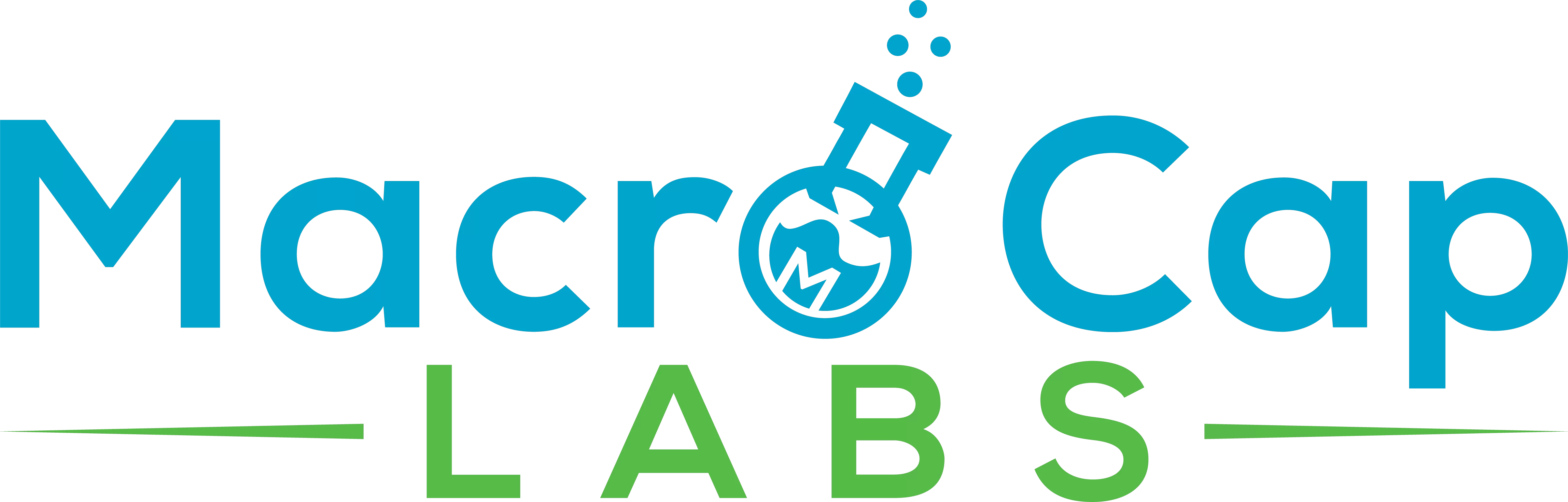 Capabilities - MacroCap Labs