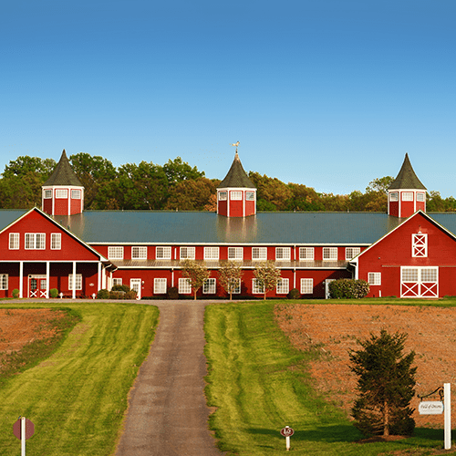 About Madison Fields | A Community-Powered Sanctuary