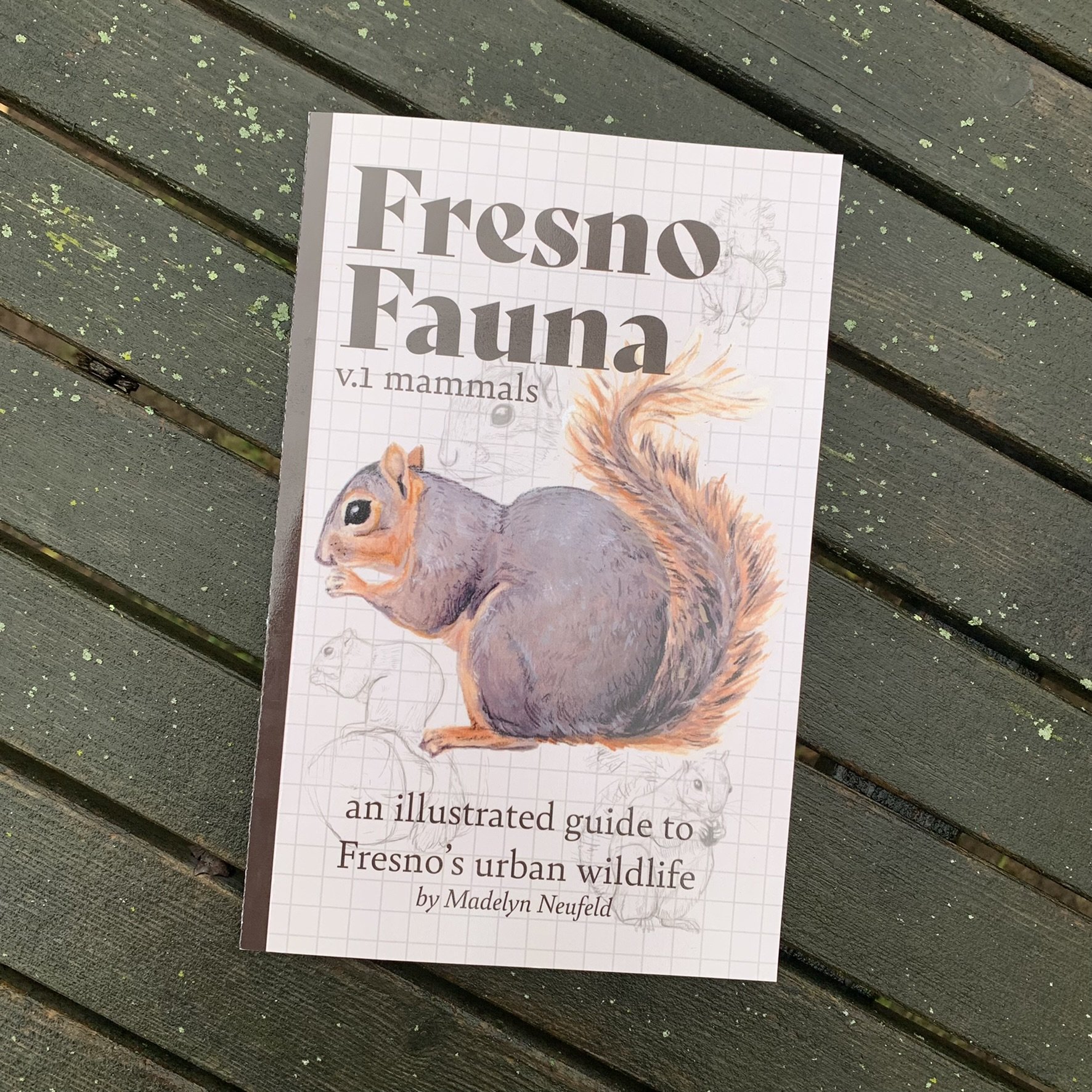 Fresno Fauna v.1: Mammals – Madelyn Neufeld – Mady Rose Art