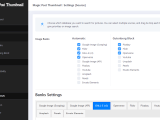 Settings Source Magic Post Thumbnail
