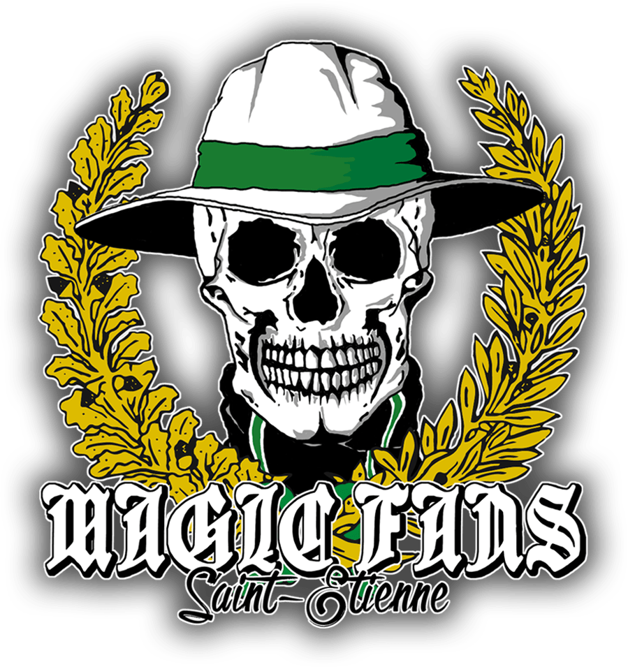 logo – magicfans.fr