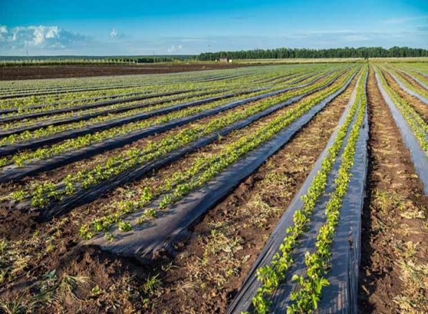 Plastics are piling up in soil across the world - Mahabahu.com