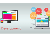 Web Design Service