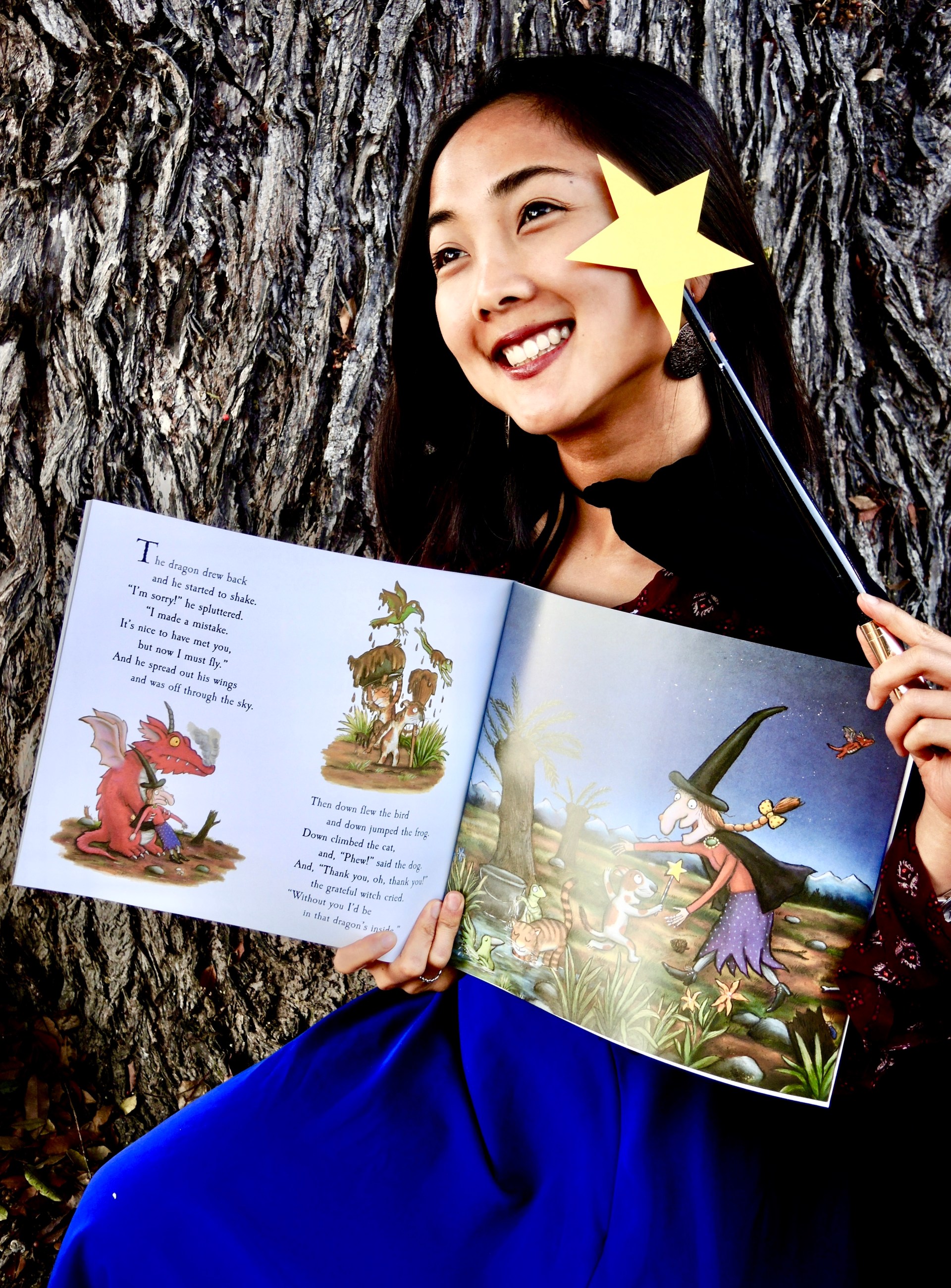 MaiStoryBook Library Collection: Room on the Broom + Magic Spell Pop-Up ...