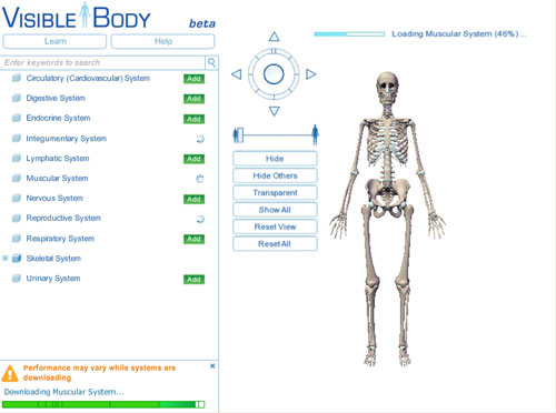 Anatomy Lesson | Maizspace
